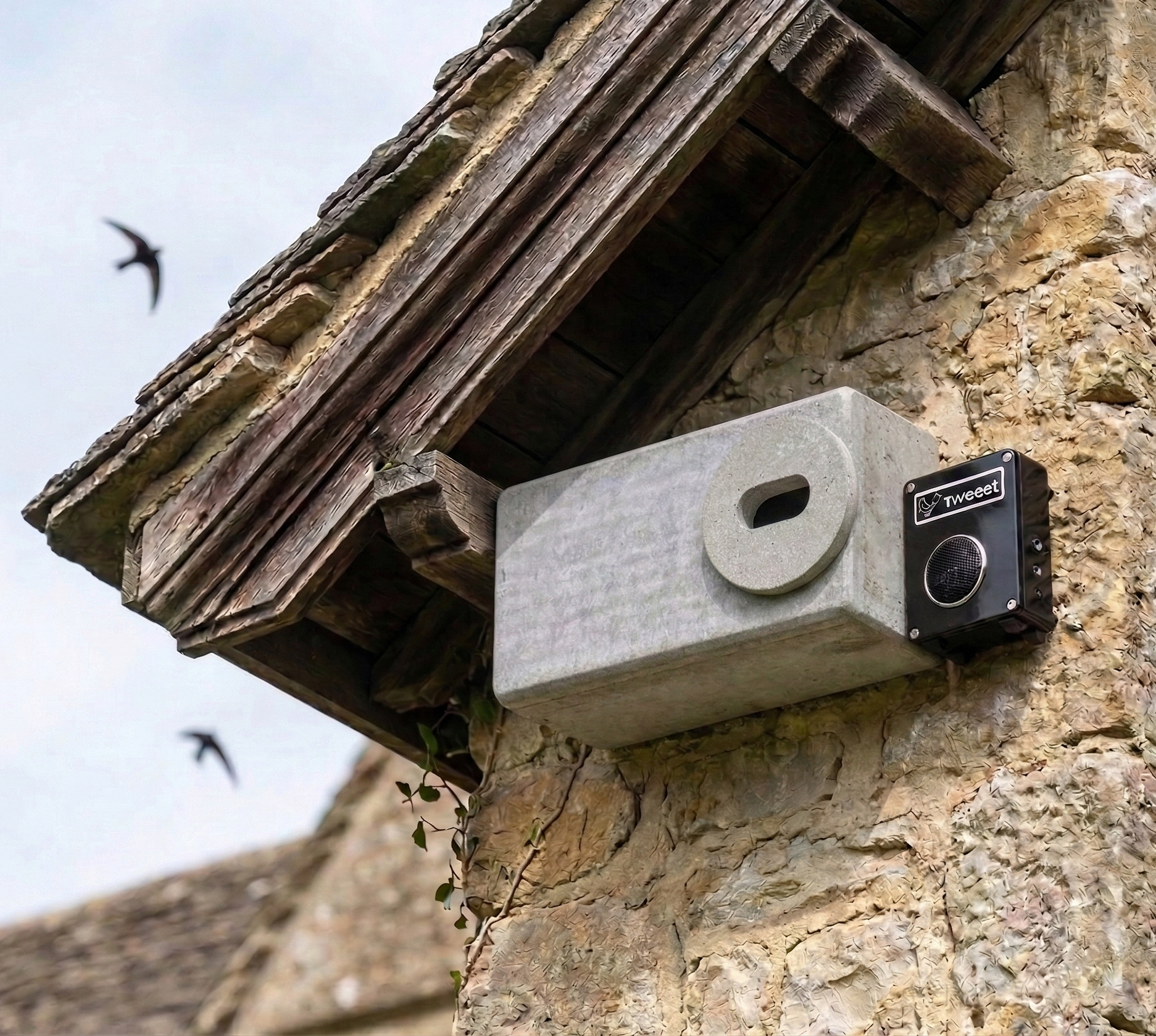 Home - Tweeet Swift and Purple Martin Electronic Bird Caller