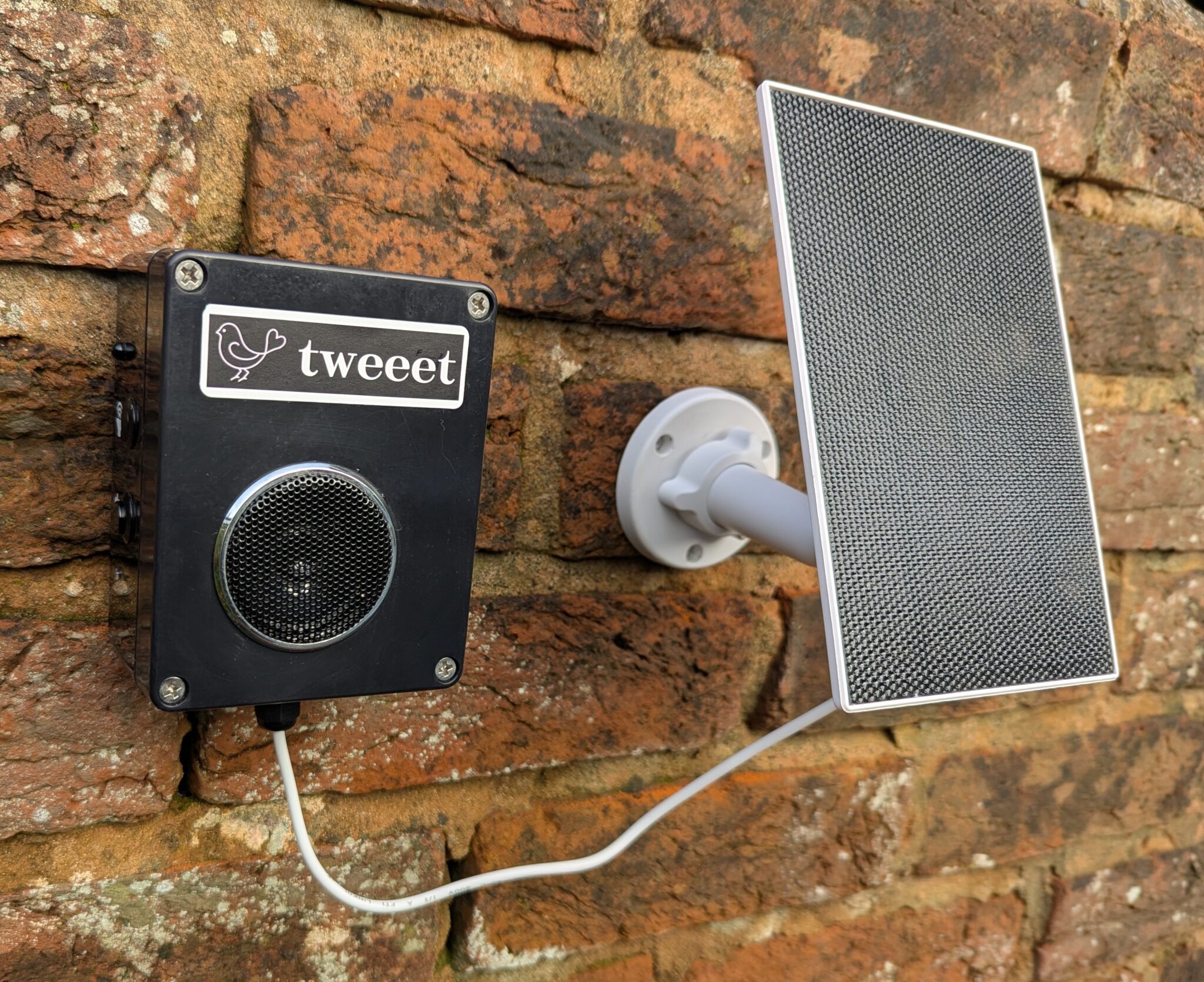 Home - Tweeet Swift and Purple Martin Electronic Bird Caller