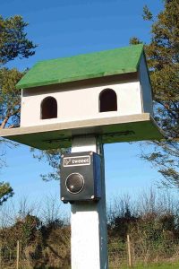 Home - Tweeet Swift and Purple Martin Electronic Bird Caller